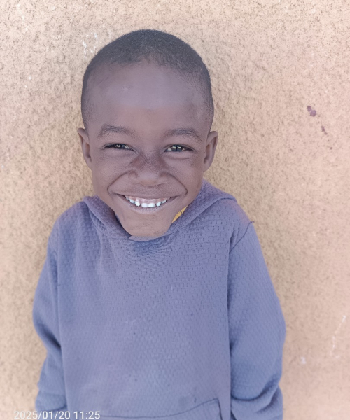 Abdoul Aziz Amine - Sheltering Wings